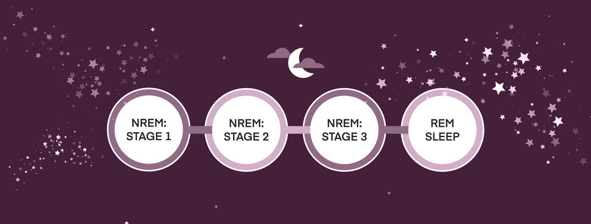 Stages Of Sleep Sleep Stages [4 Types Of Sleep Stages] | SleepScore